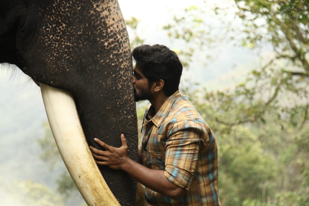 Kumki 2 Tamil Movie Review: A Karunji-Like Bloom of Emotion After 12 ...